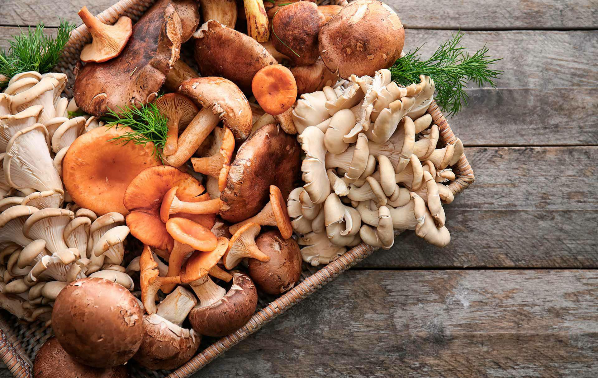 March Mushroom Madness: 5 Exotic Mushrooms to Try this Month - La ...